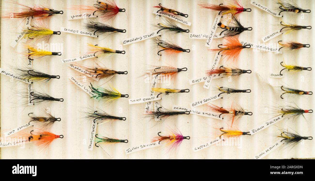 Selection of labeled hand made Flies for freshwater fishing Stock Photo ...