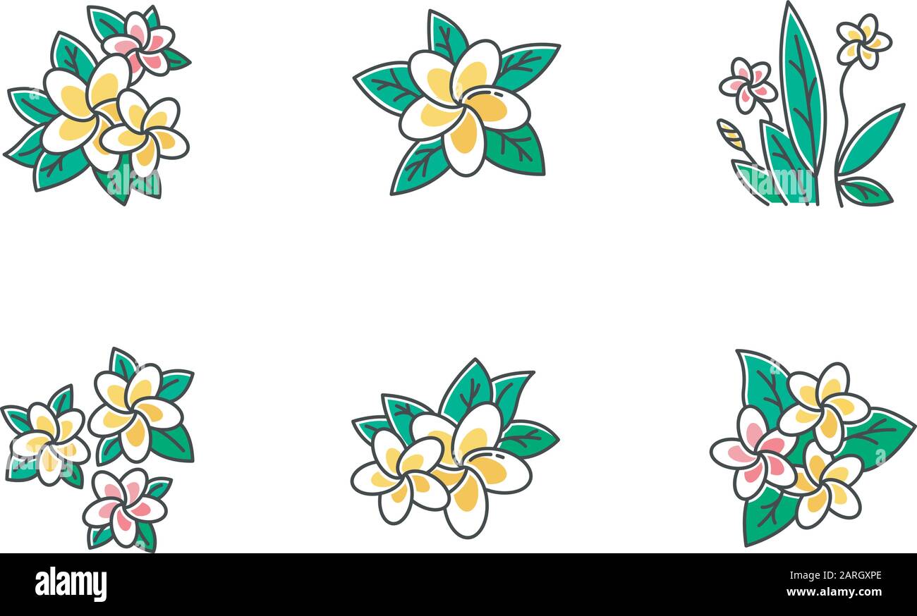 Island Flowers Drawings