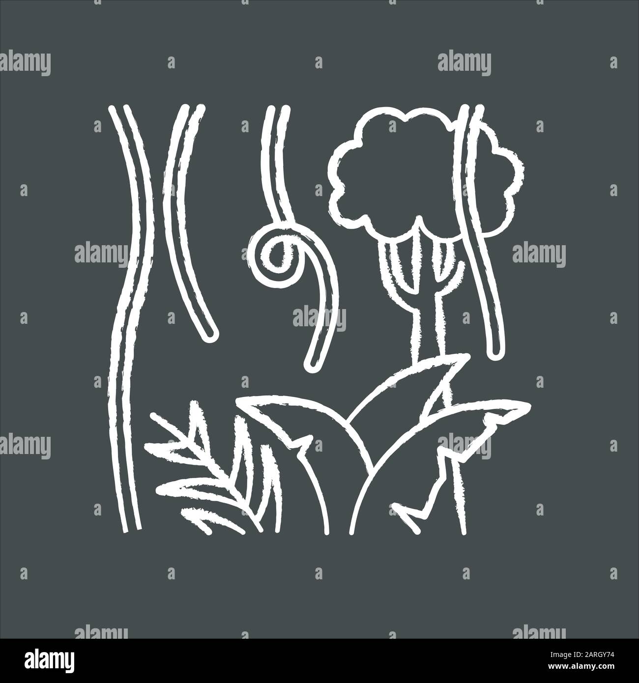 Rainforest plants and trees chalk icon. Evergreen forest vines. Lianas ...