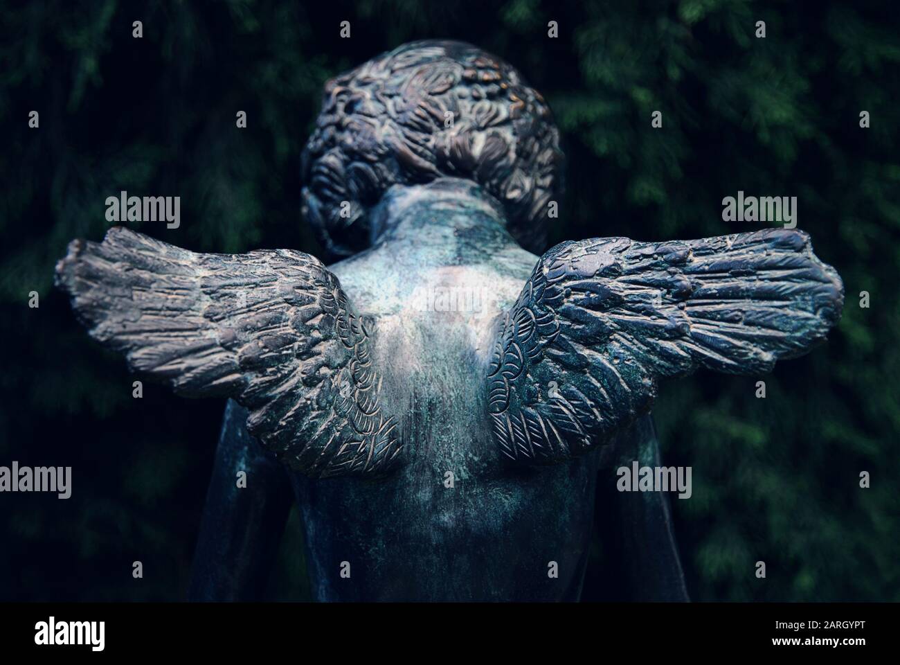 Back view of angel wings hi-res stock photography and images - Alamy