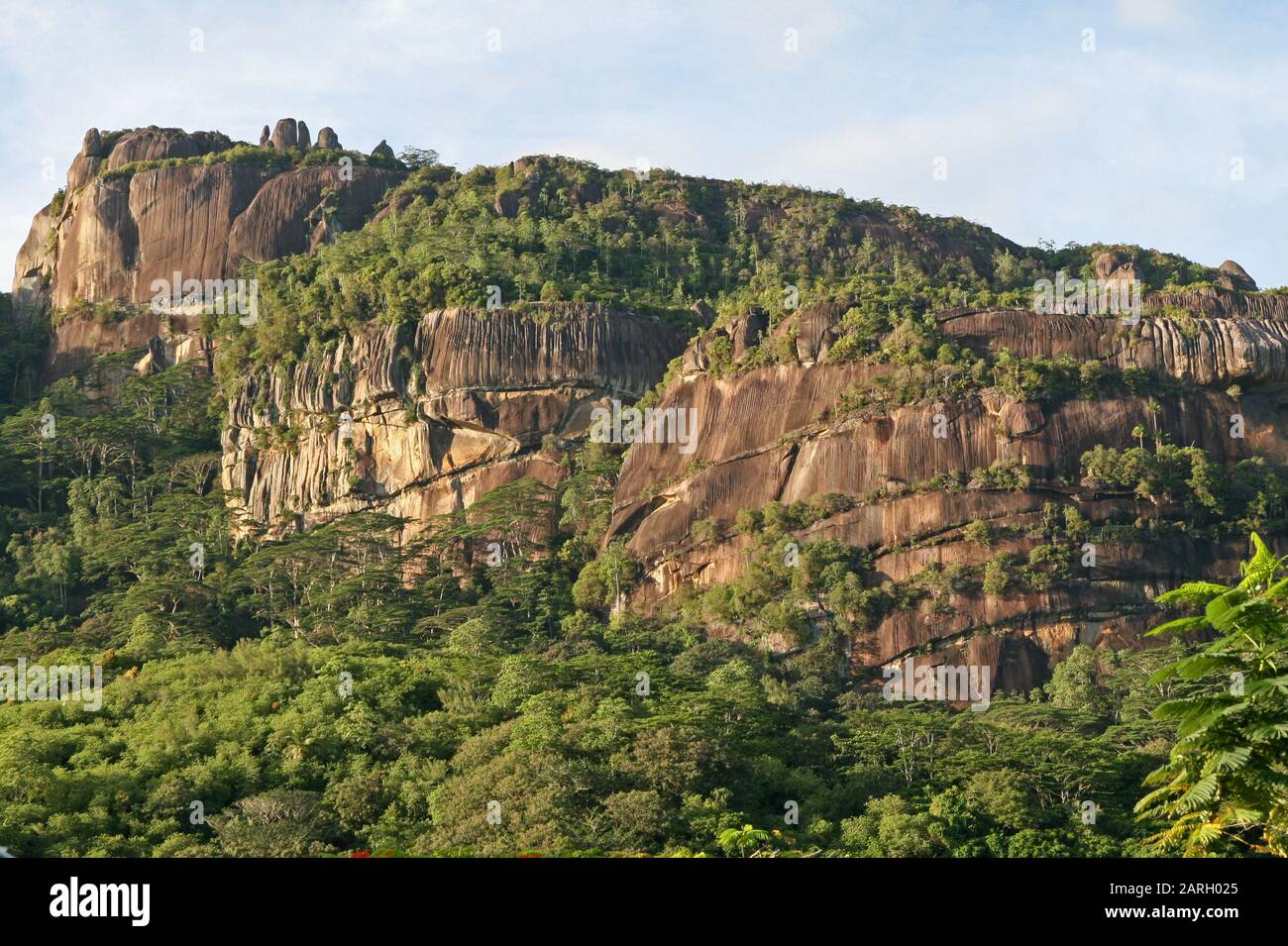 Seycellois hi-res stock photography and images - Alamy
