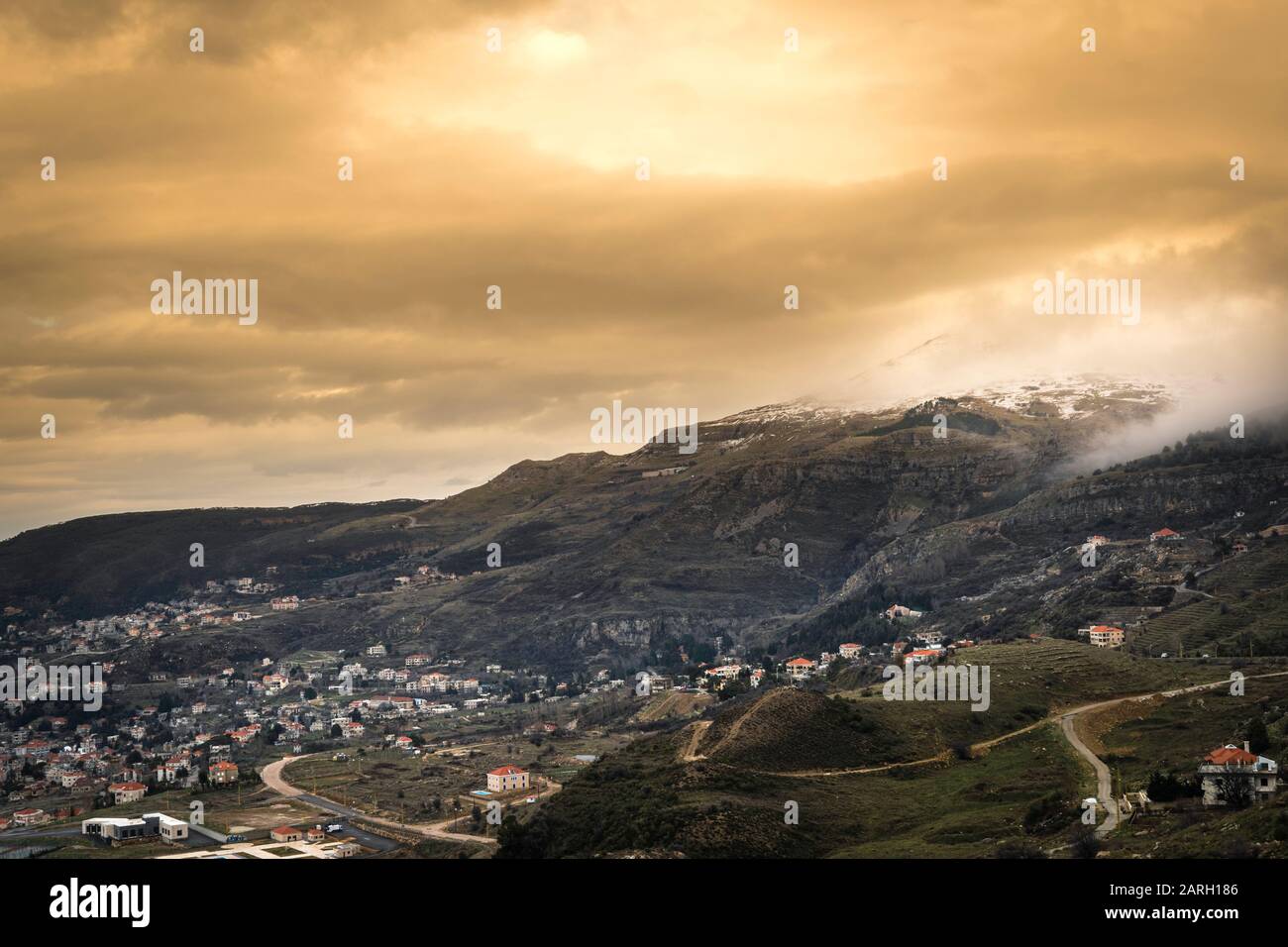 The mountains of Lebanon were once shaded by thick cedar forests and ...