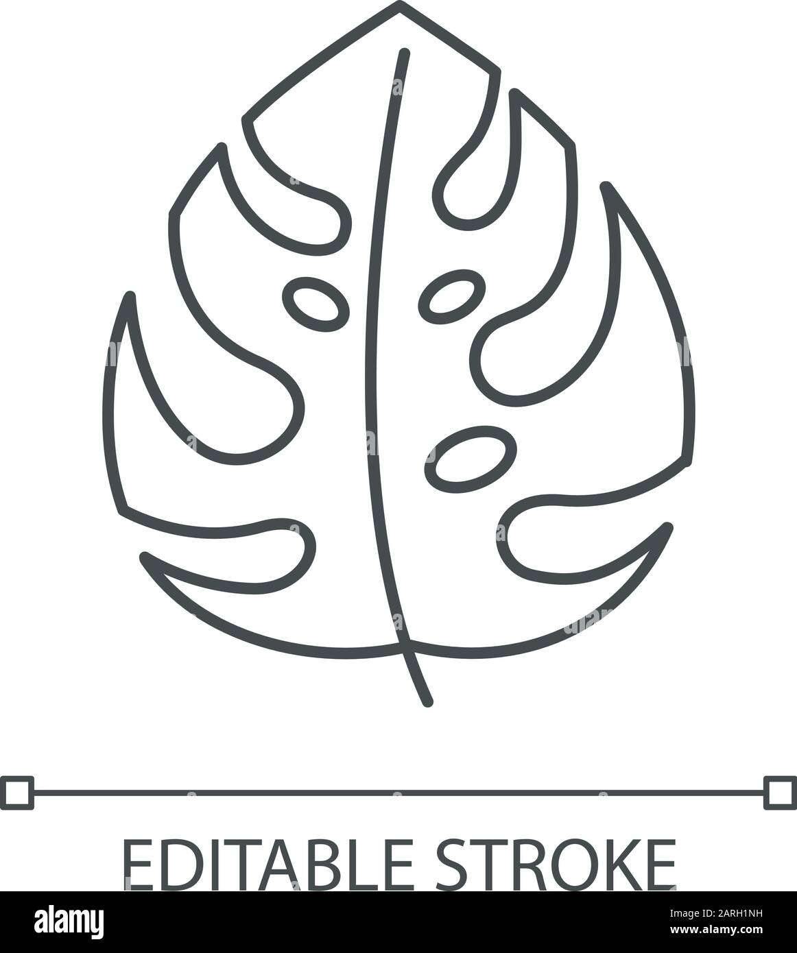 Monstera leaf linear icon. Exotic tropical forest vines. Swiss cheese ...