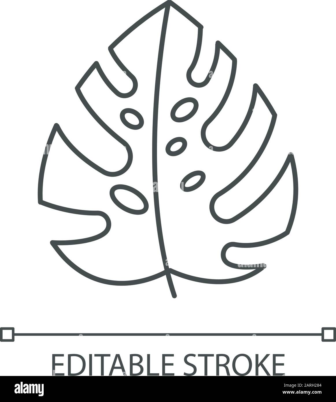 Monstera leaf linear icon. Evergreen tropical forest vines. Swiss ...