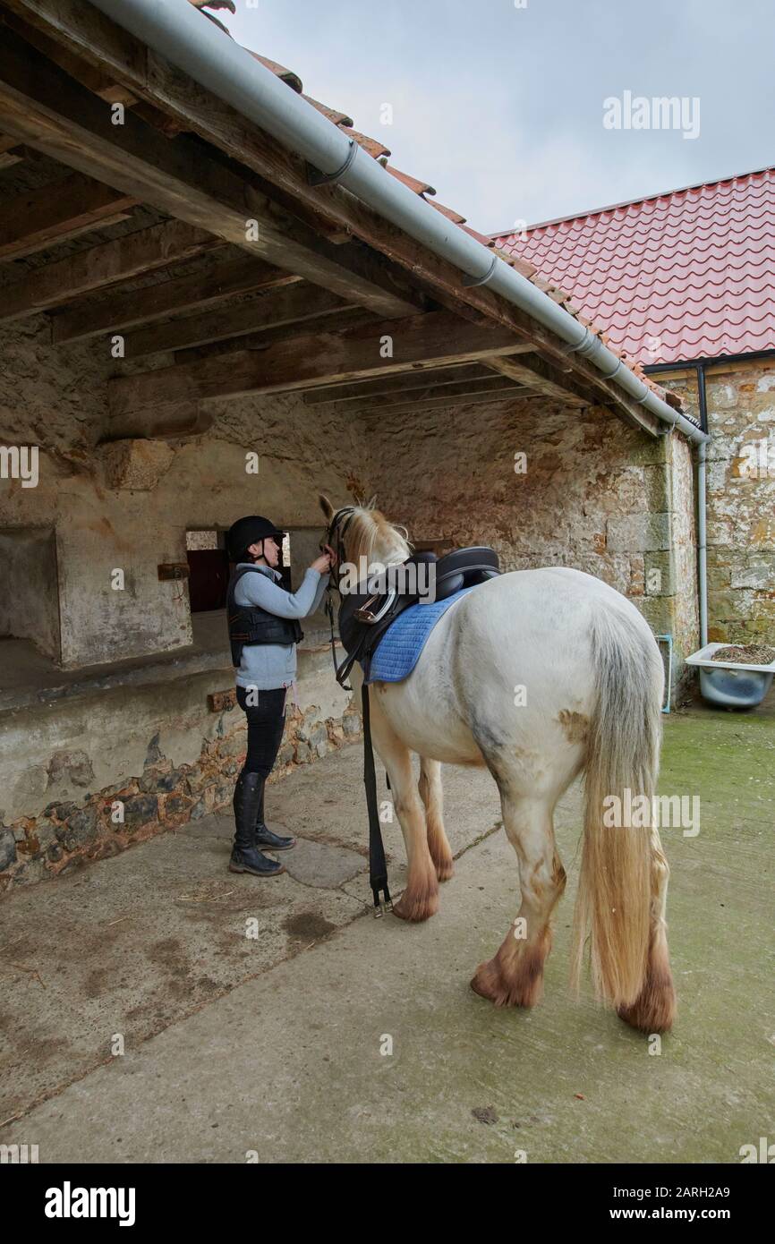 Tacking horse hi-res stock photography and images - Alamy