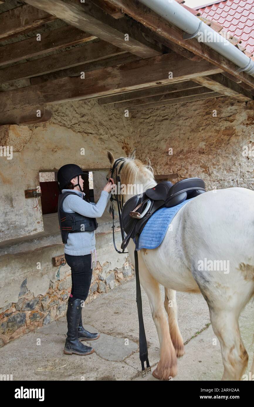 Tacking Horse High Resolution Stock Photography and Images - Alamy