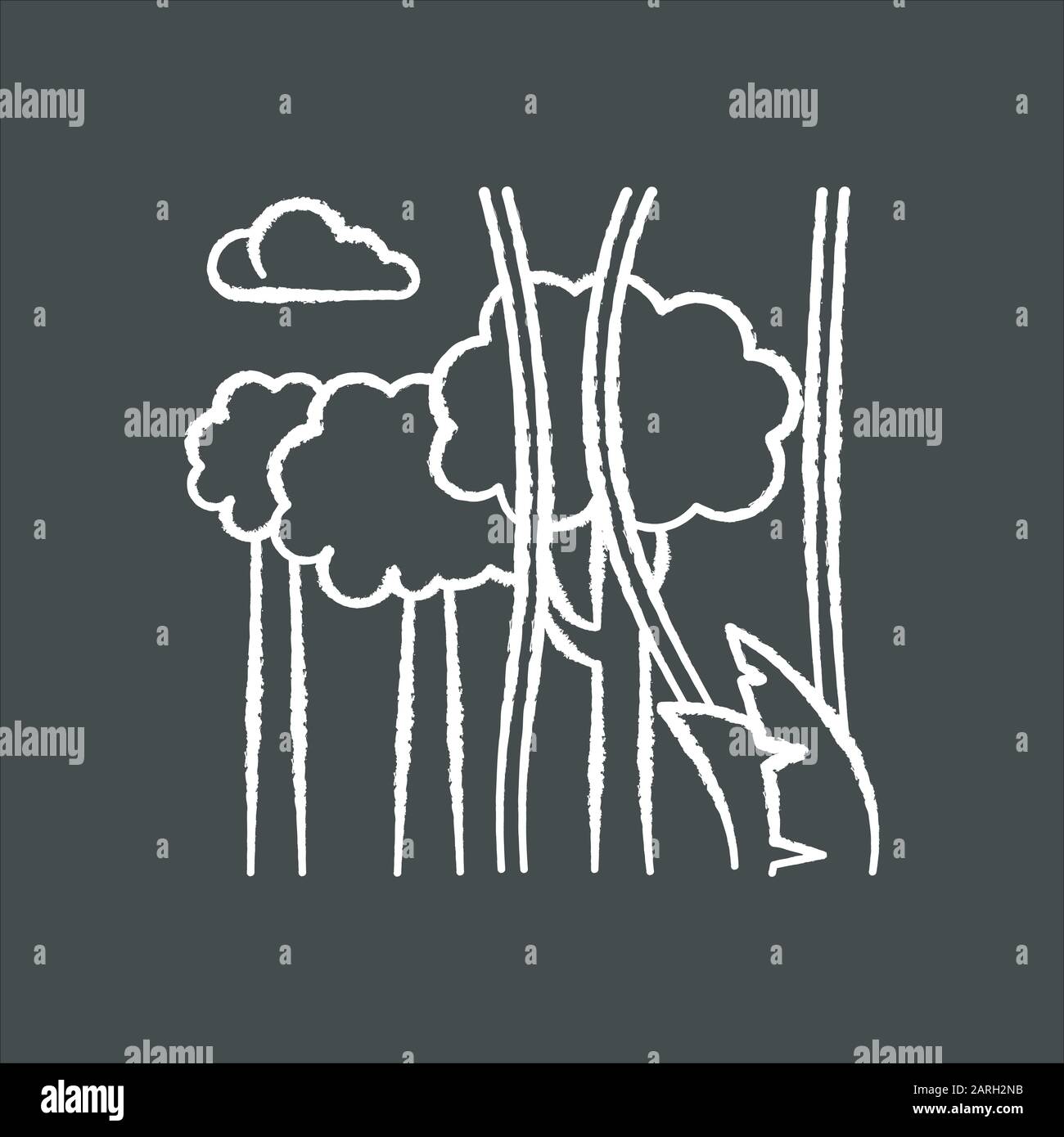 Rainforest plants and trees chalk icon. Evergreen forest vines. Lianas ...