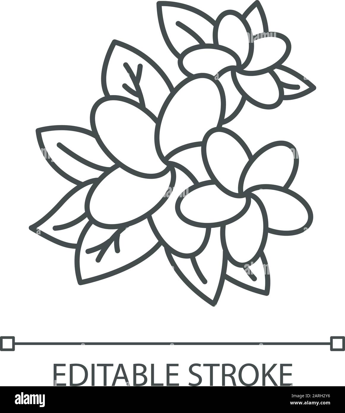 Plumeria linear light icon. Exotic flower. Nature of Indonesian jungles ...