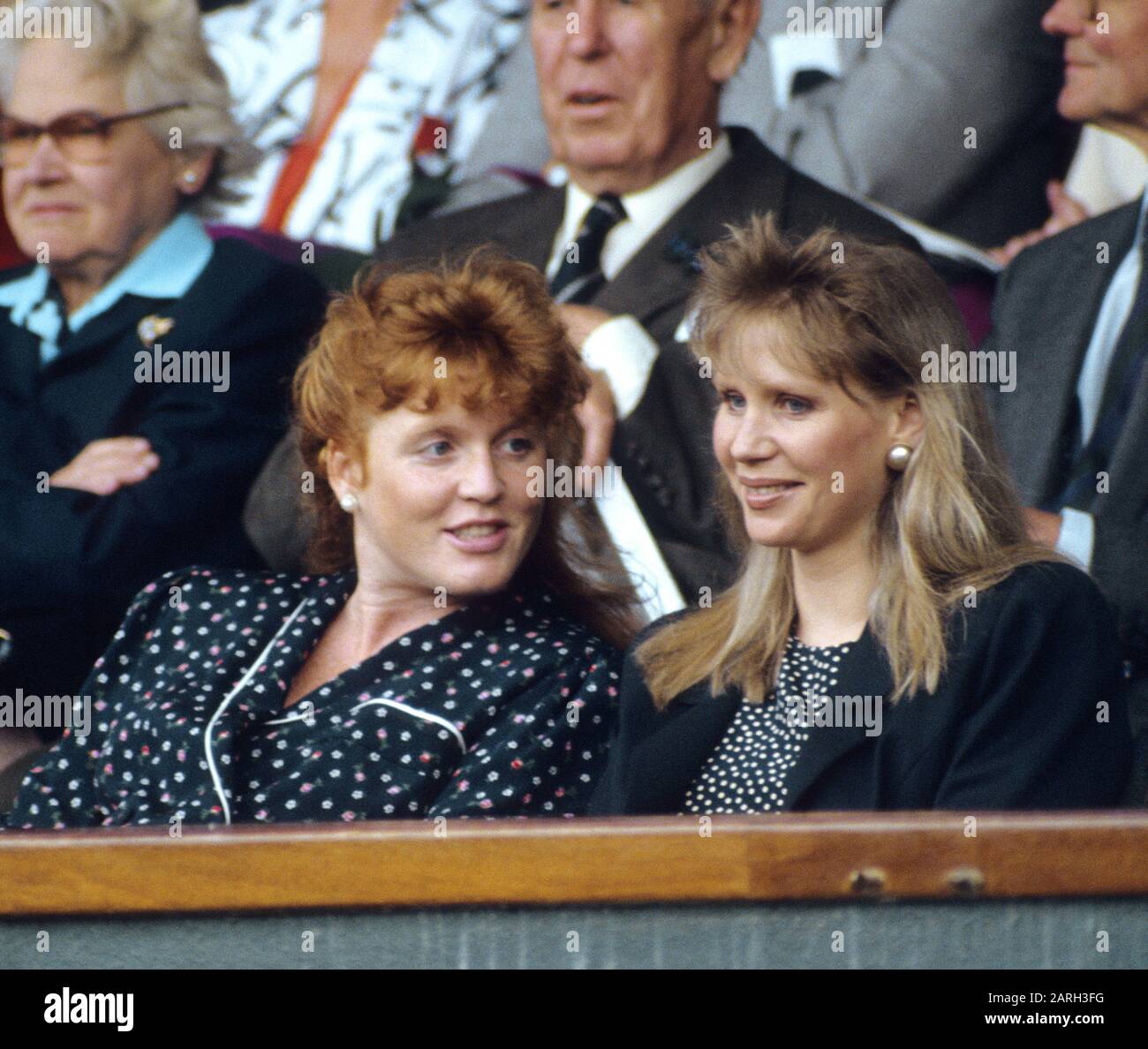 Duchess cotterell hi-res stock photography and images - Alamy