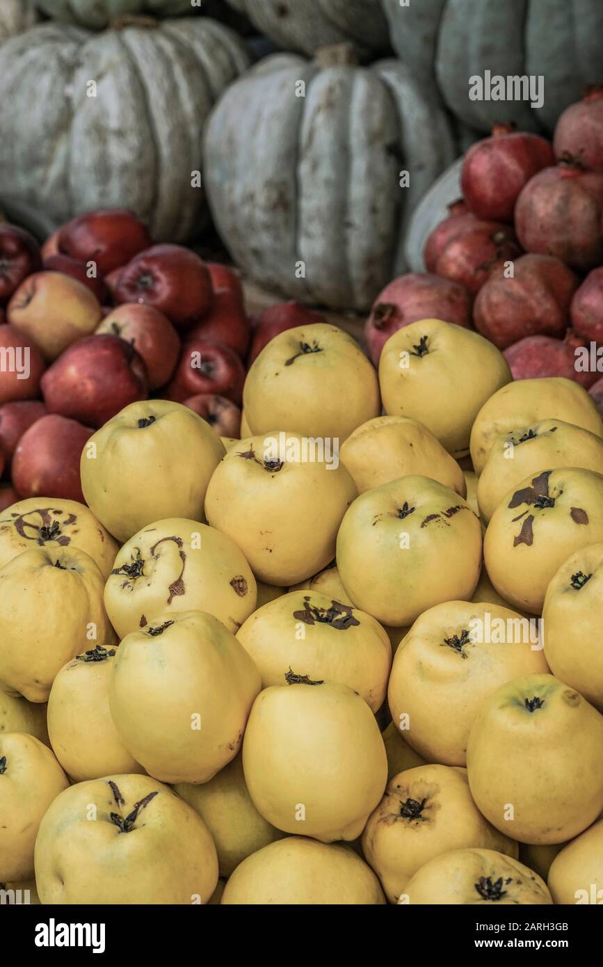 Variety of fresh fruits at a grocery store Stock Photo - Alamy
