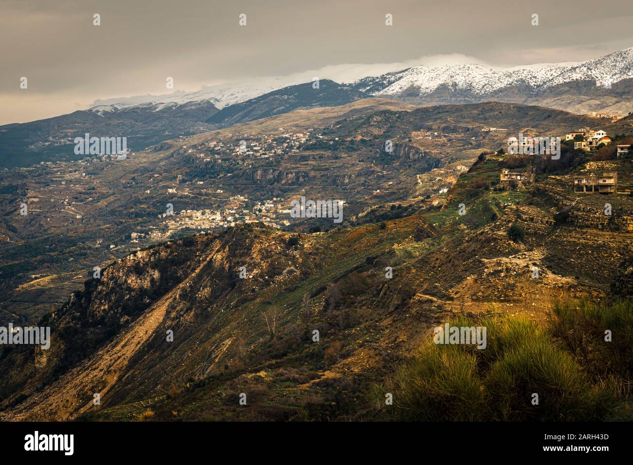 The mountains of Lebanon were once shaded by thick cedar forests and ...