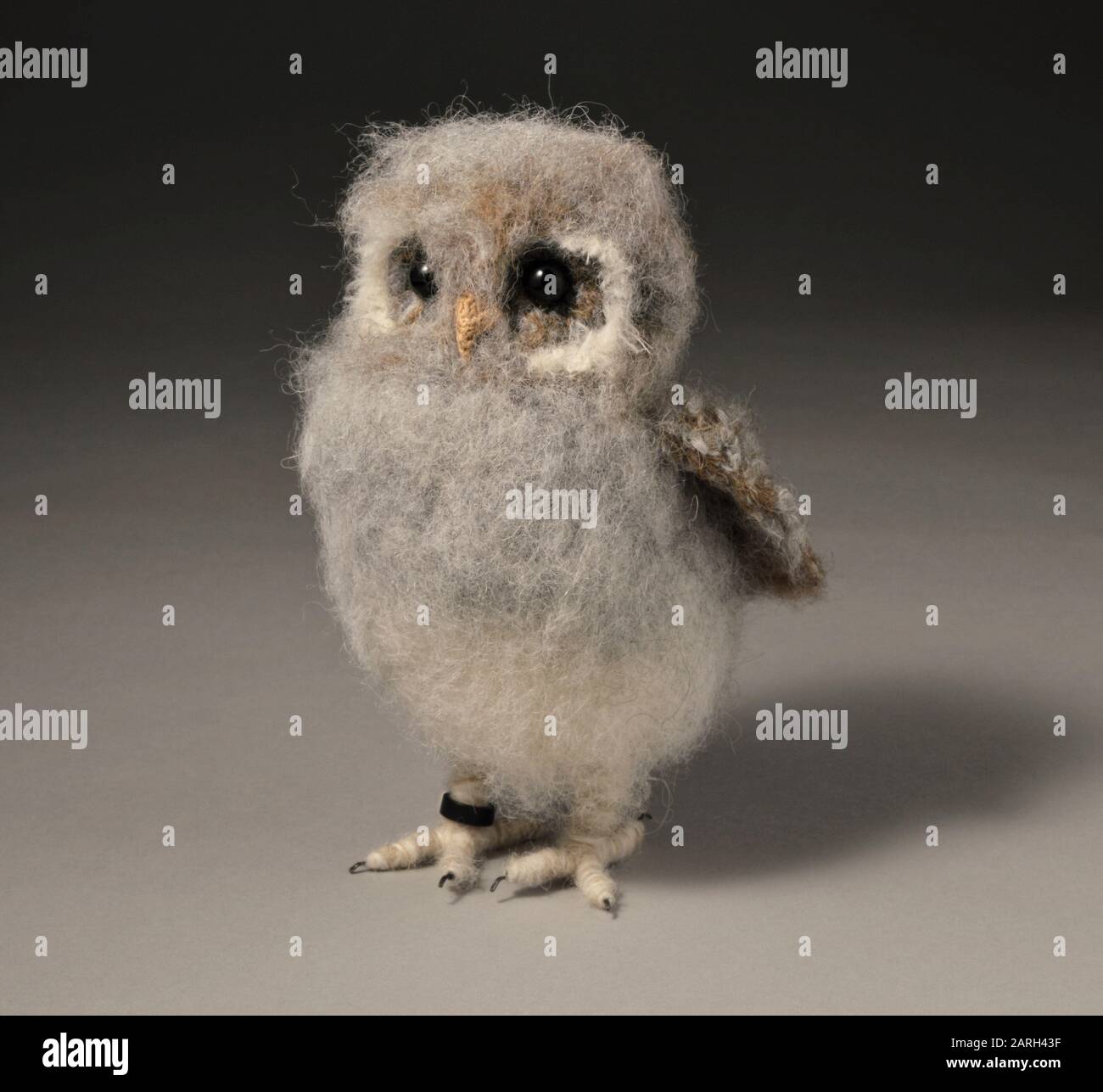 Owlet model on a gray background. Baby tawny owl made from wool and ...