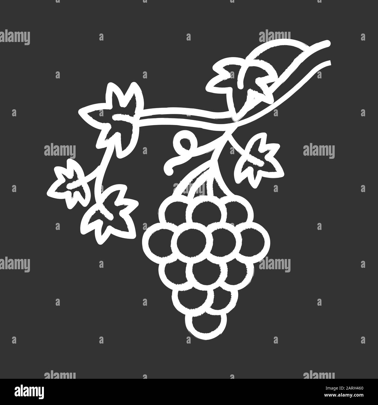 Grapevine chalk icon. Brush of grapes on branch. Viticulture, winemaking. Symbol of wealth ...