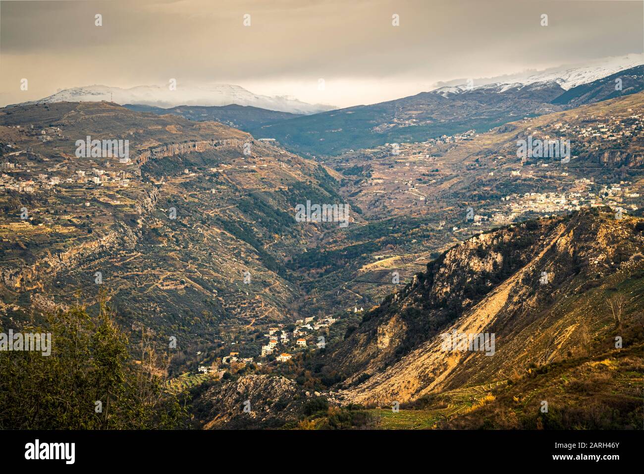 The mountains of Lebanon were once shaded by thick cedar forests and ...