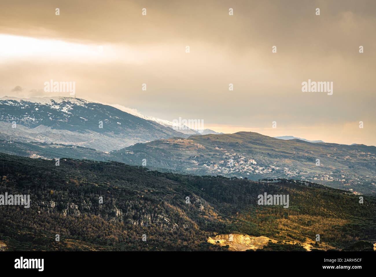 The mountains of Lebanon were once shaded by thick cedar forests and ...