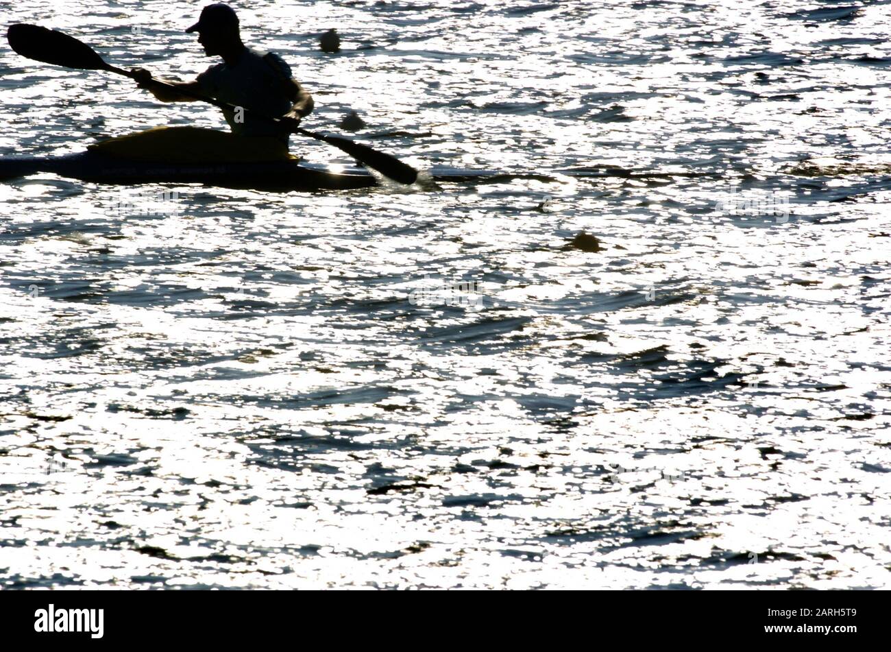20040824 Olympic Games Athens Greece [Canoe/Kayak Flatwater Racing ...