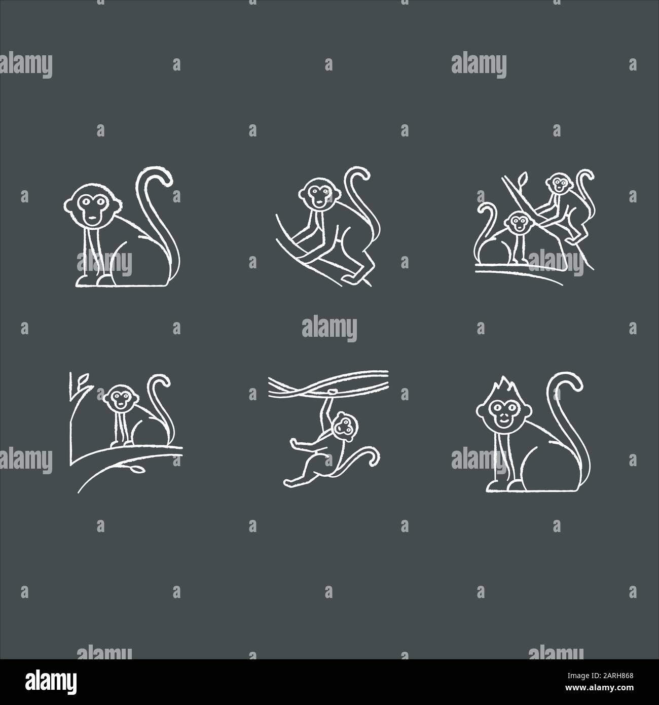 Indonesian monkeys Stock Vector Images - Alamy