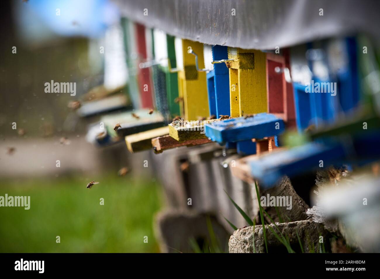 Industrial beehives hi-res stock photography and images - Alamy