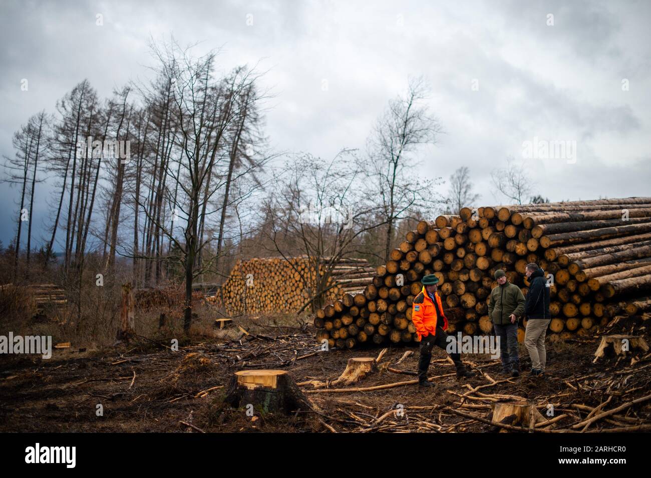 Christoph rullmann hi-res stock photography and images - Alamy