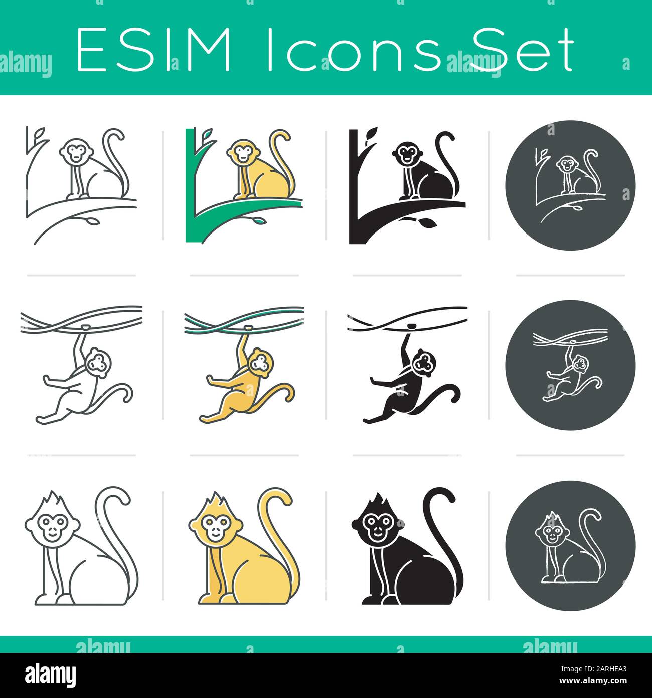 Monkeys in wild icons set. Tropical country animal, mammal on trees ...