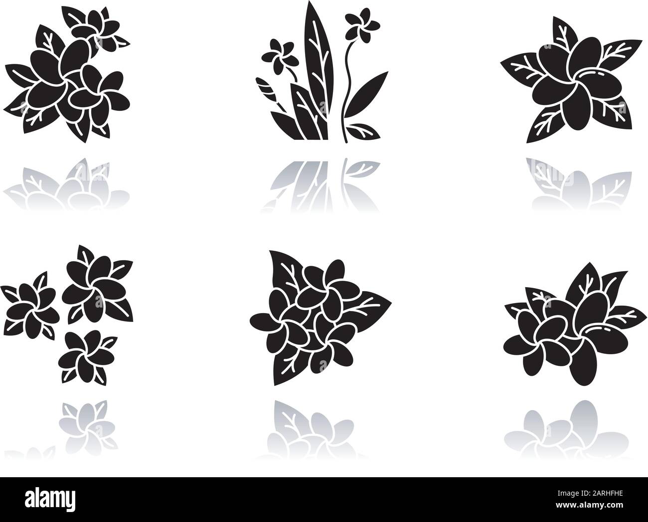 Plumeria drop shadow black glyph icons set. Exotic region flowers ...
