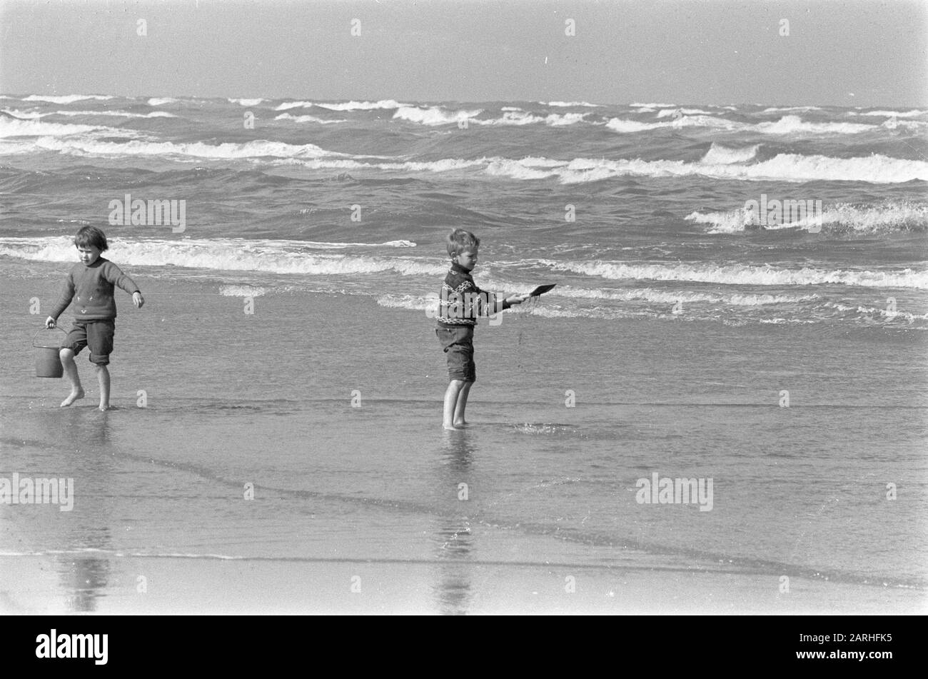 Summer 1966, seashells search by beach Date: August 2, 1966 Keywords ...