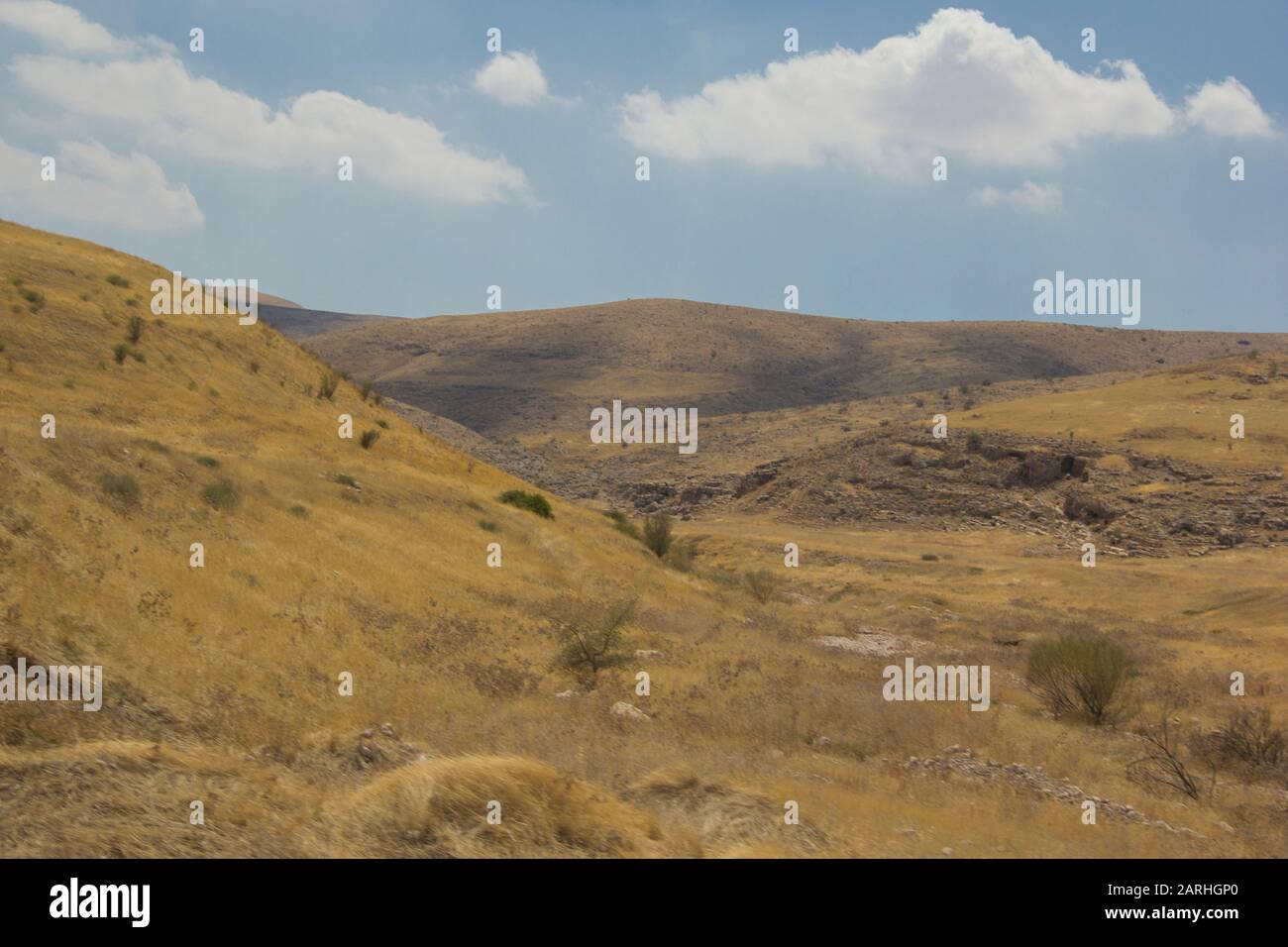 Shrubs of israel hi-res stock photography and images - Alamy