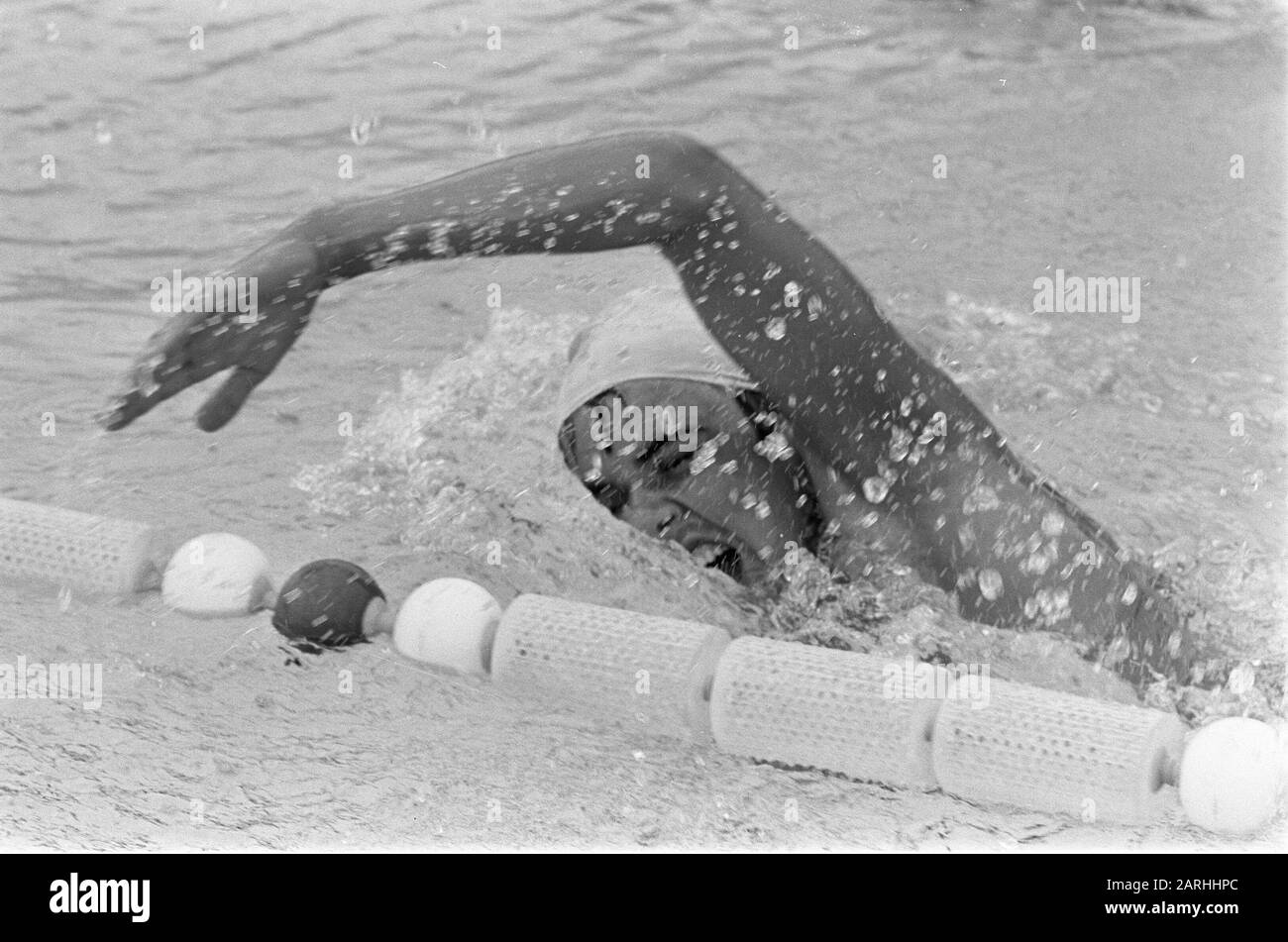 Toos benner hi-res stock photography and images - Alamy