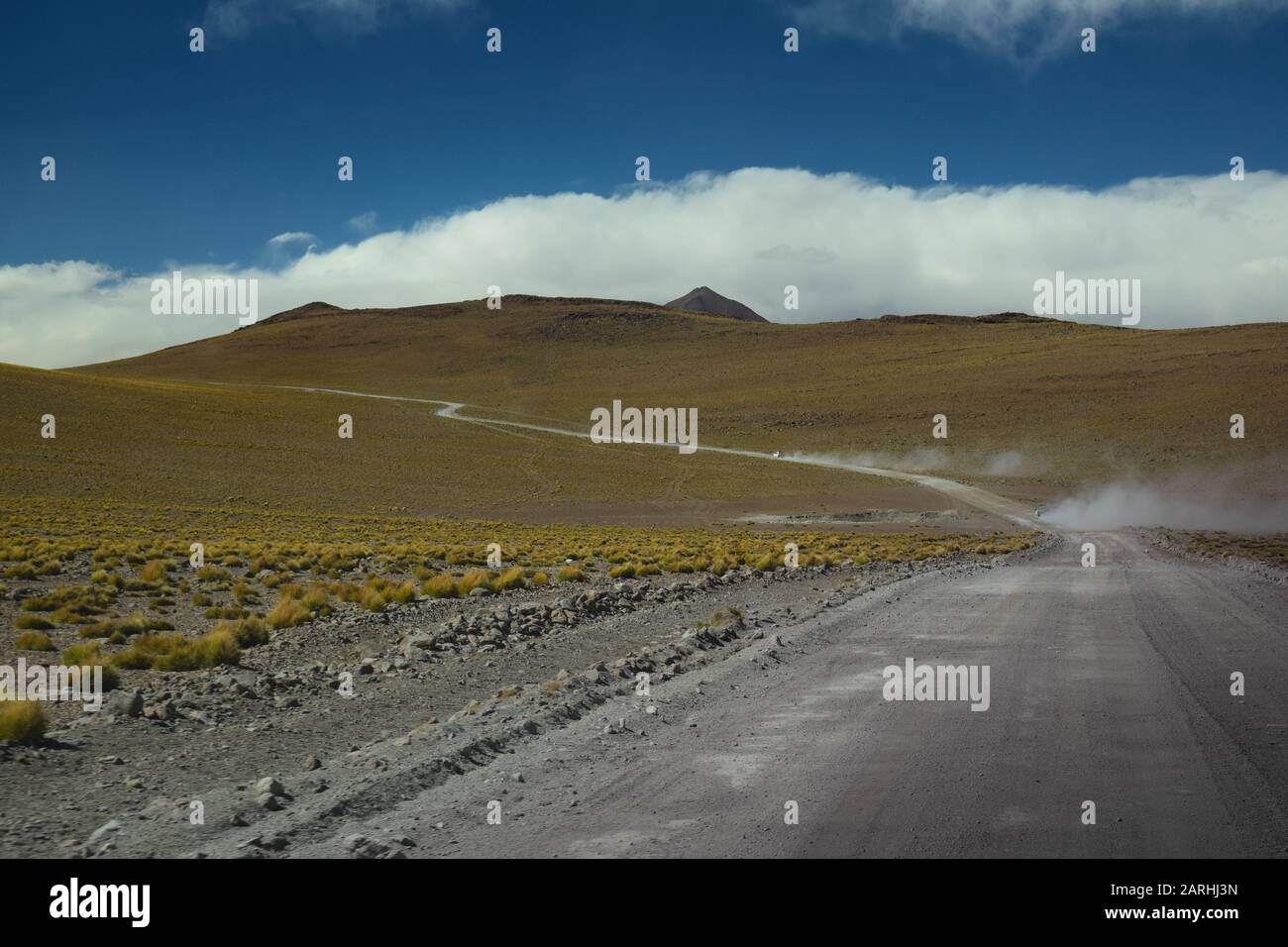 Safari car moving fast in the dust, crossing the bolivian andes Stock ...