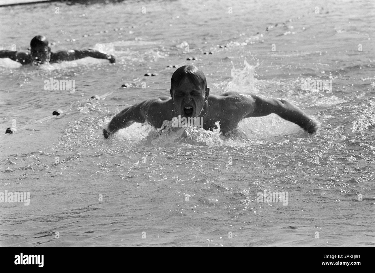 12 chris van lint hi-res stock photography and images - Alamy