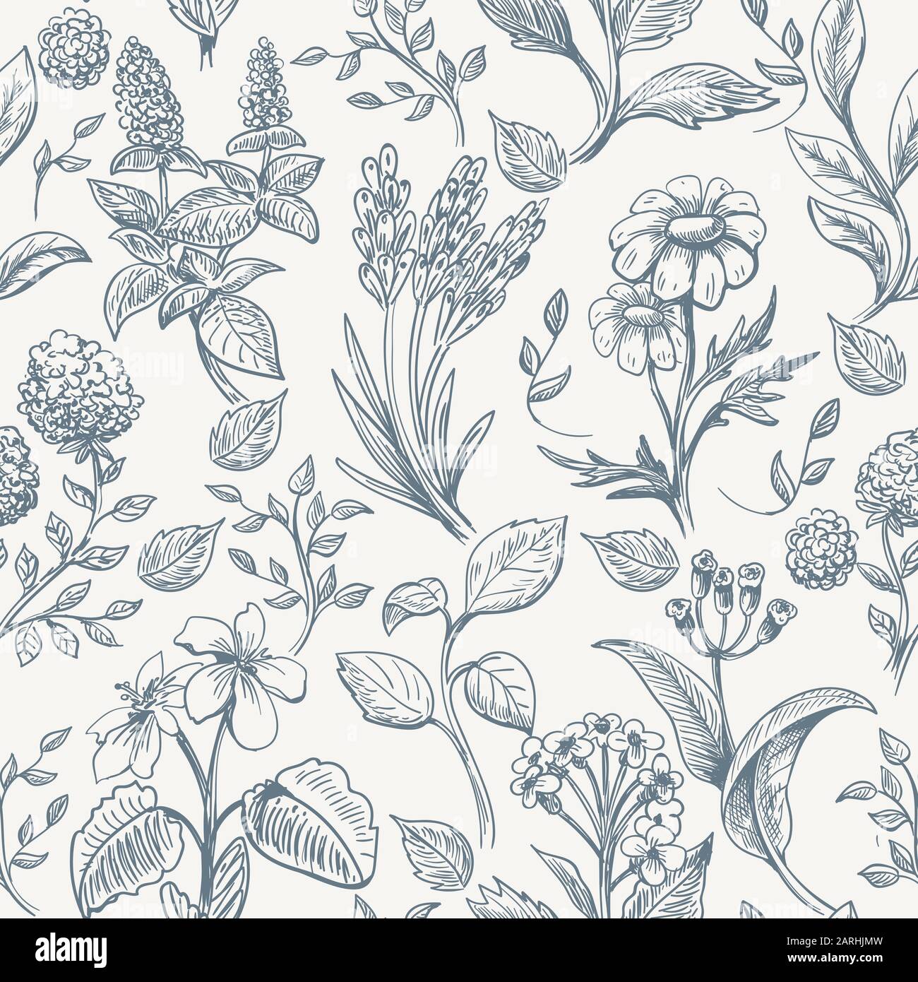 Herbs sketch seamless pattern Stock Vector Image & Art - Alamy