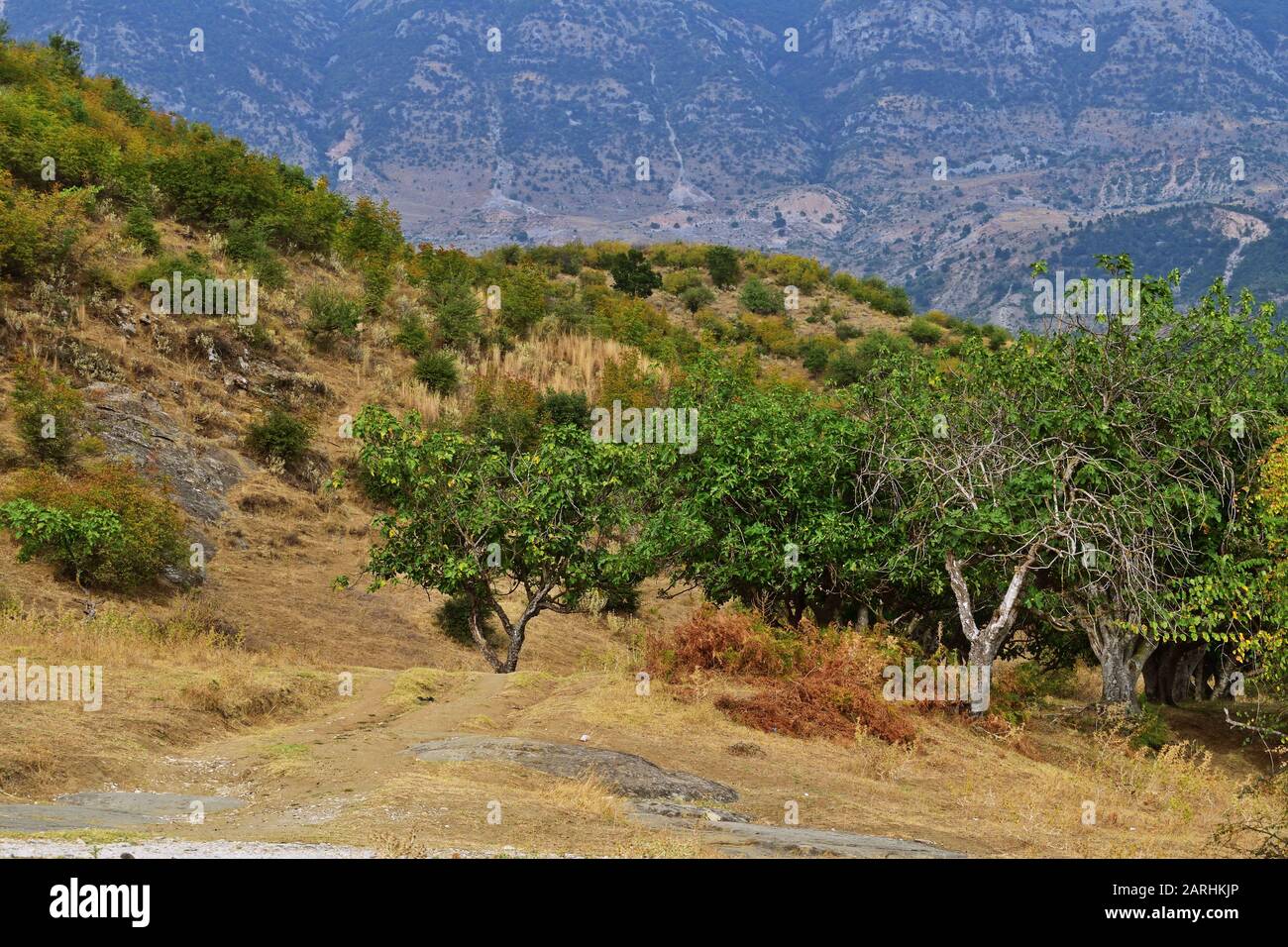 Rural albania hi-res stock photography and images - Alamy