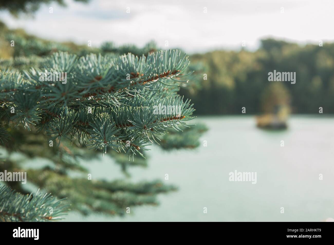 Summer landscape of lake with crystal and fresh water Aya Stock Photo ...