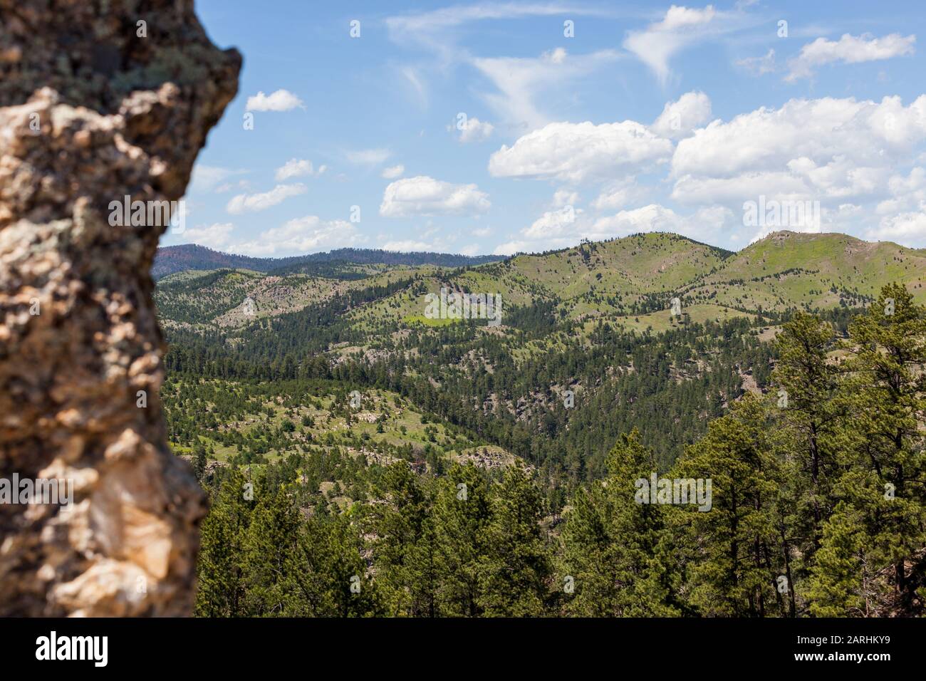 A landscape view of the Black Hills of South Dakota with green hills ...