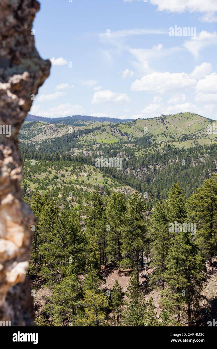 A landscape view of the Black Hills of South Dakota with green hills ...