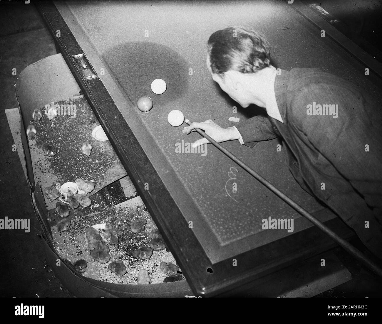 Young life under billiard table Black and White Stock Photos & Images ...