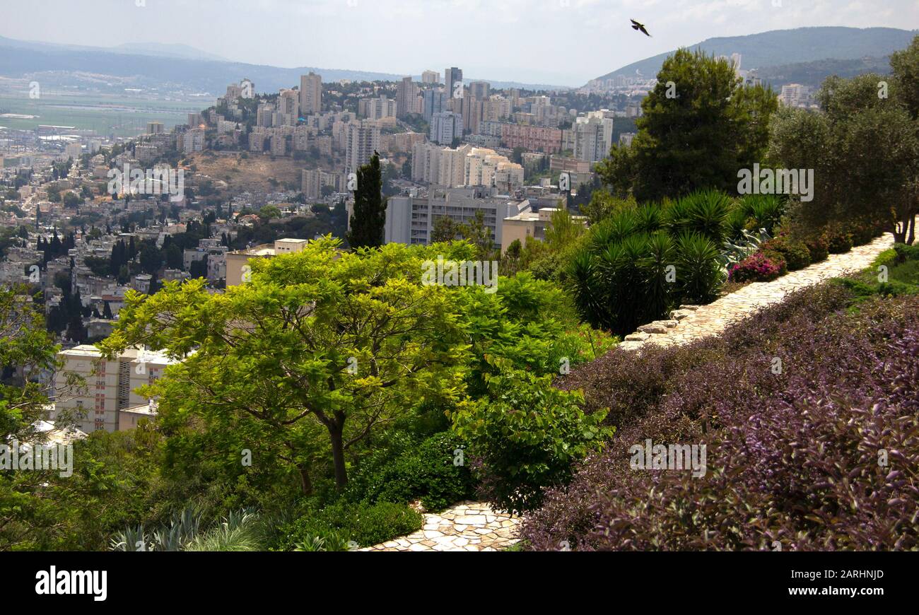 Residences bird hi-res stock photography and images - Alamy