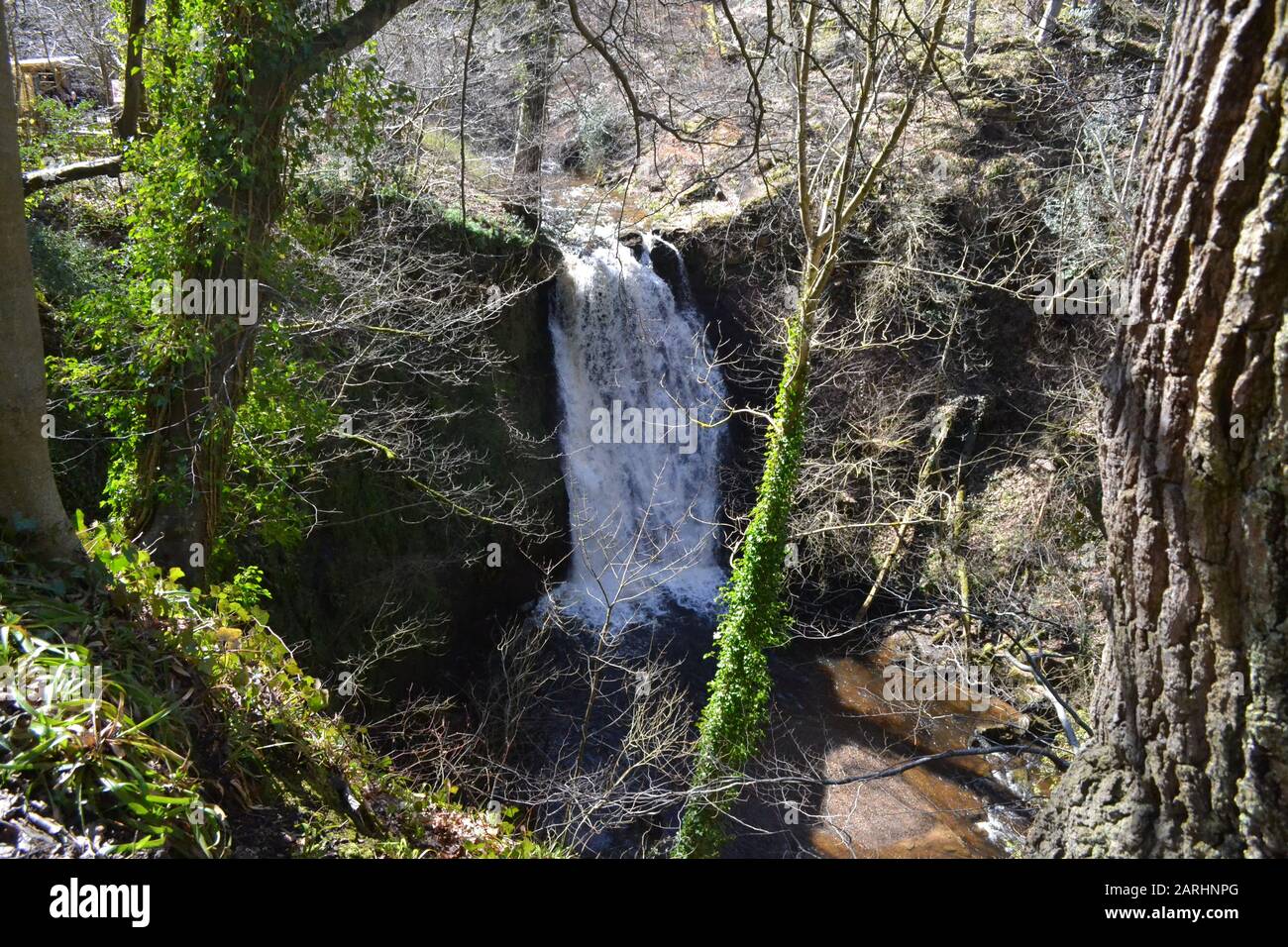 Waterfall - Falling Foss - Spring Time - North Yorkshire UK Stock Photo ...