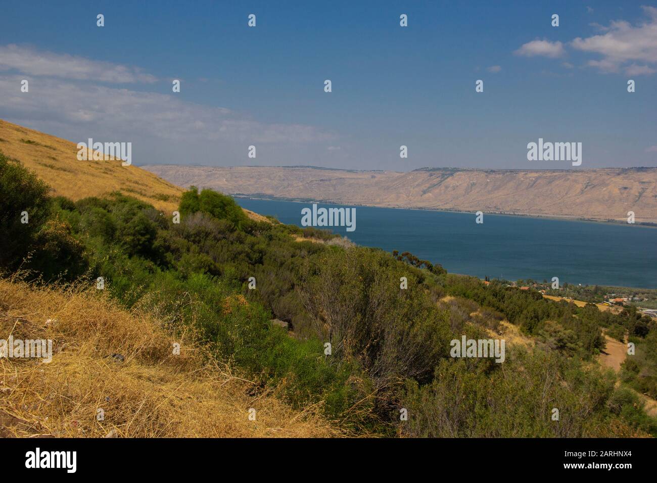Sea of galilee forest hi-res stock photography and images - Alamy