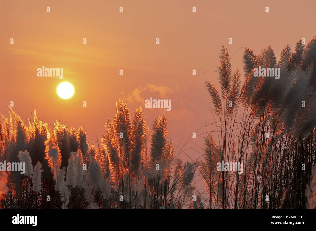 Kashful hi-res stock photography and images - Alamy