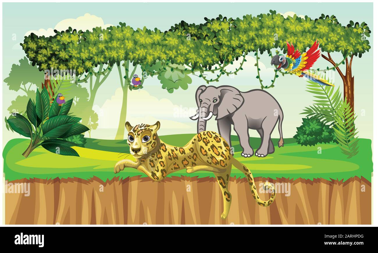 Zoo vector vectors hi-res stock photography and images - Alamy