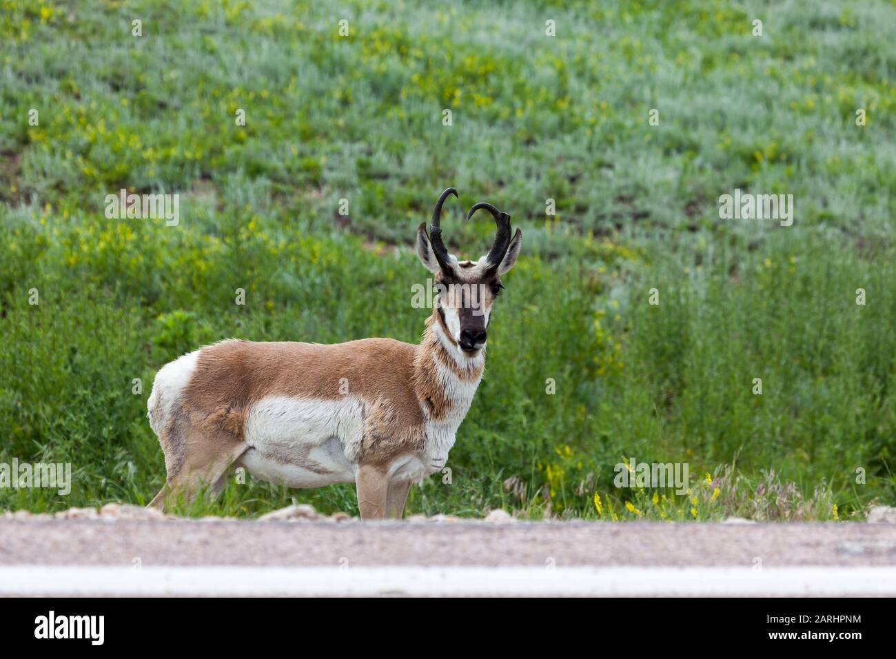 State park heart hi-res stock photography and images - Alamy