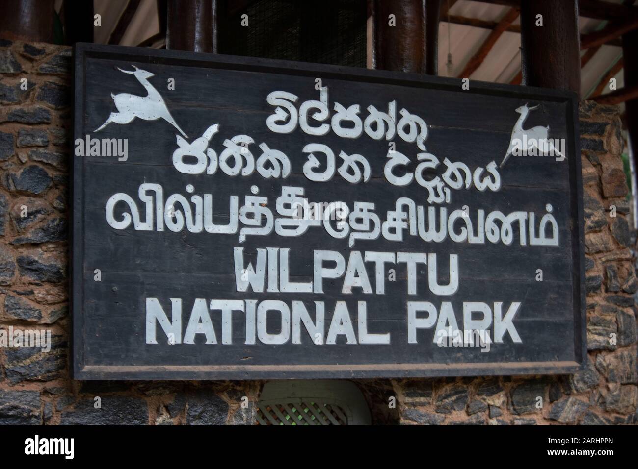 Wilpattu national park hi-res stock photography and images - Alamy