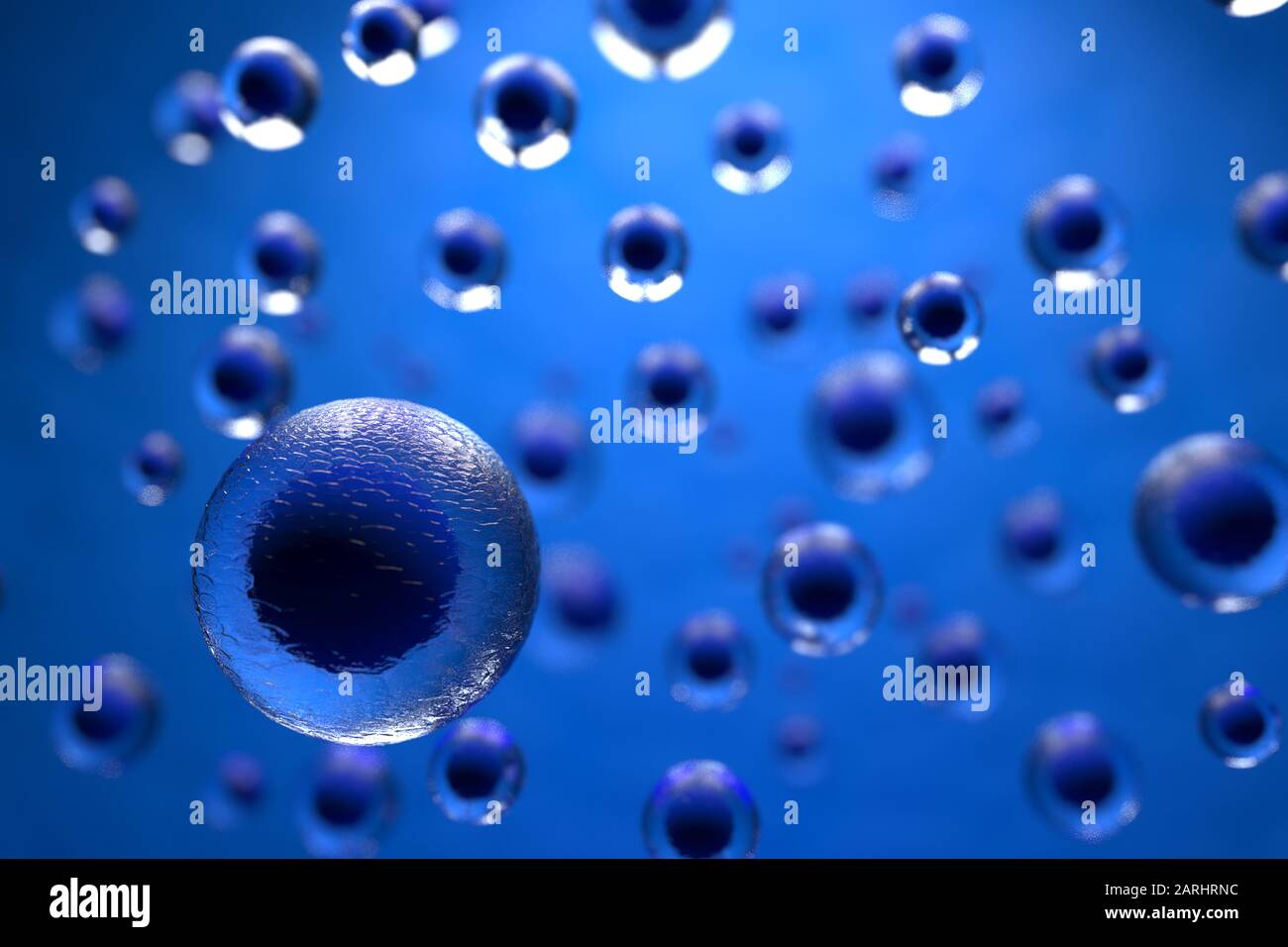 Human cell microscopic hi-res stock photography and images - Alamy