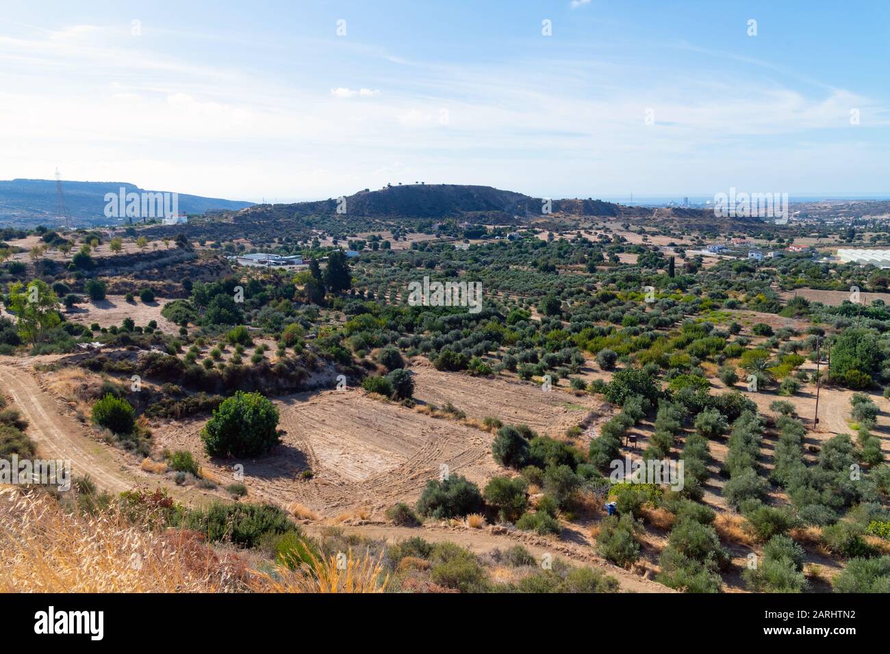 Plain trees green hi-res stock photography and images - Alamy