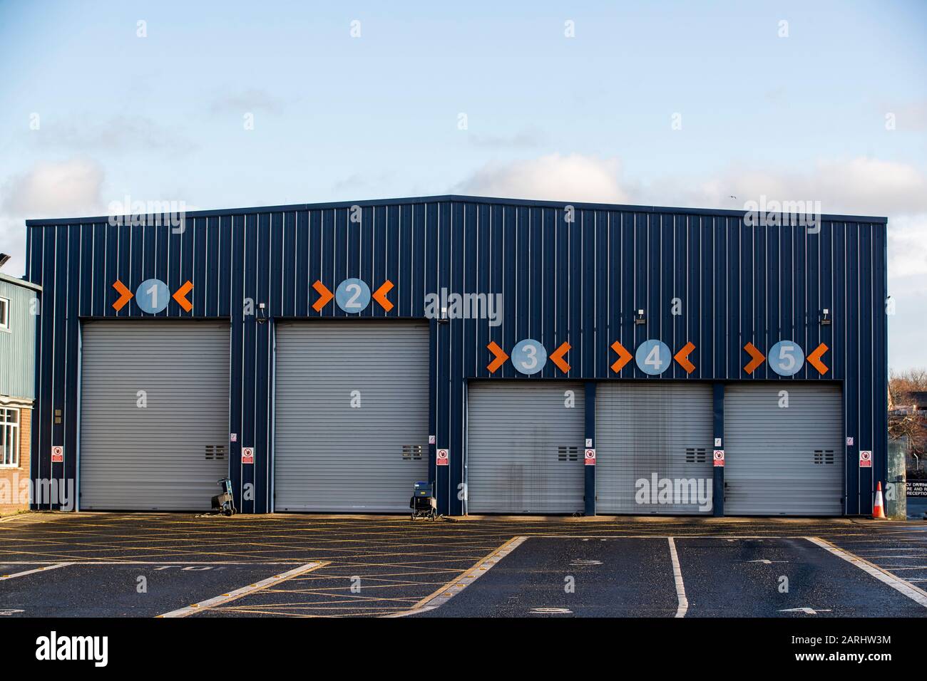 Mot mot hi-res stock photography and images - Alamy