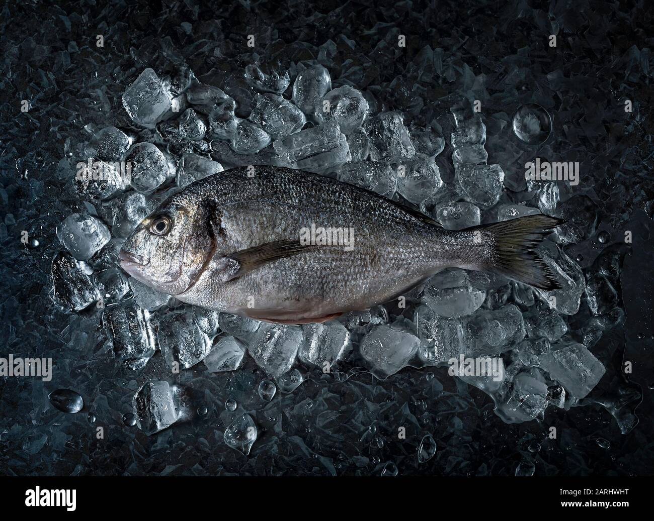 Bream scales hi-res stock photography and images - Alamy