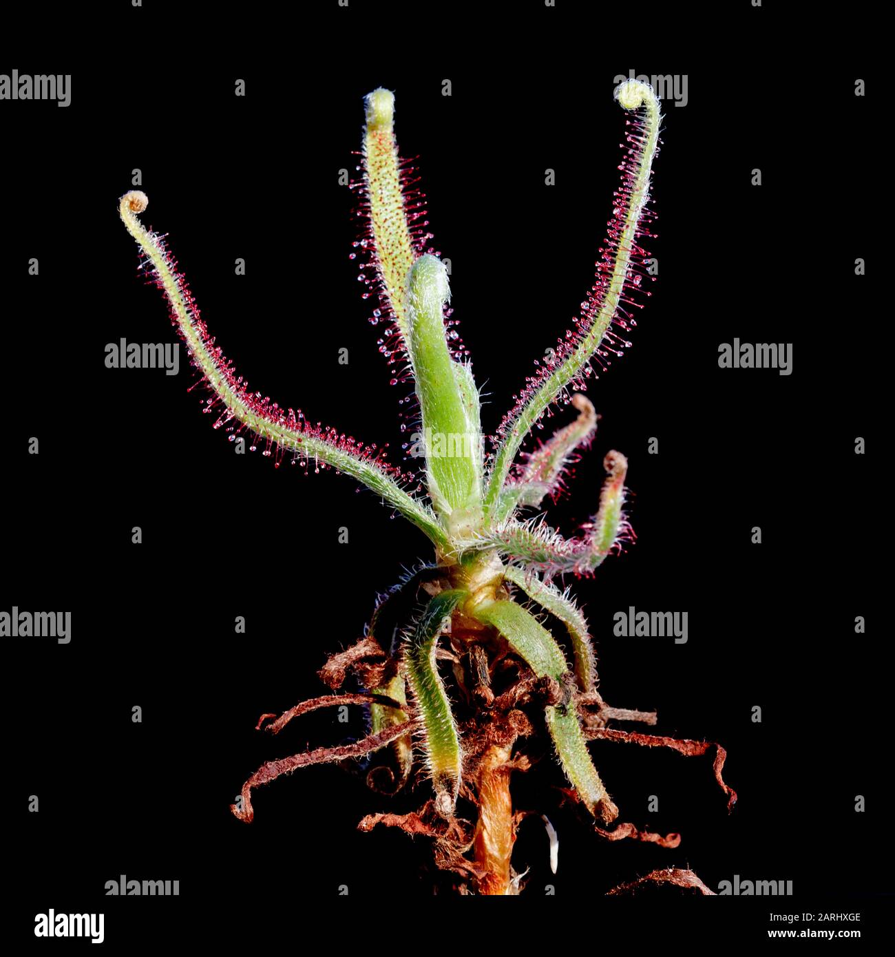 1500 asl hi-res stock photography and images - Alamy