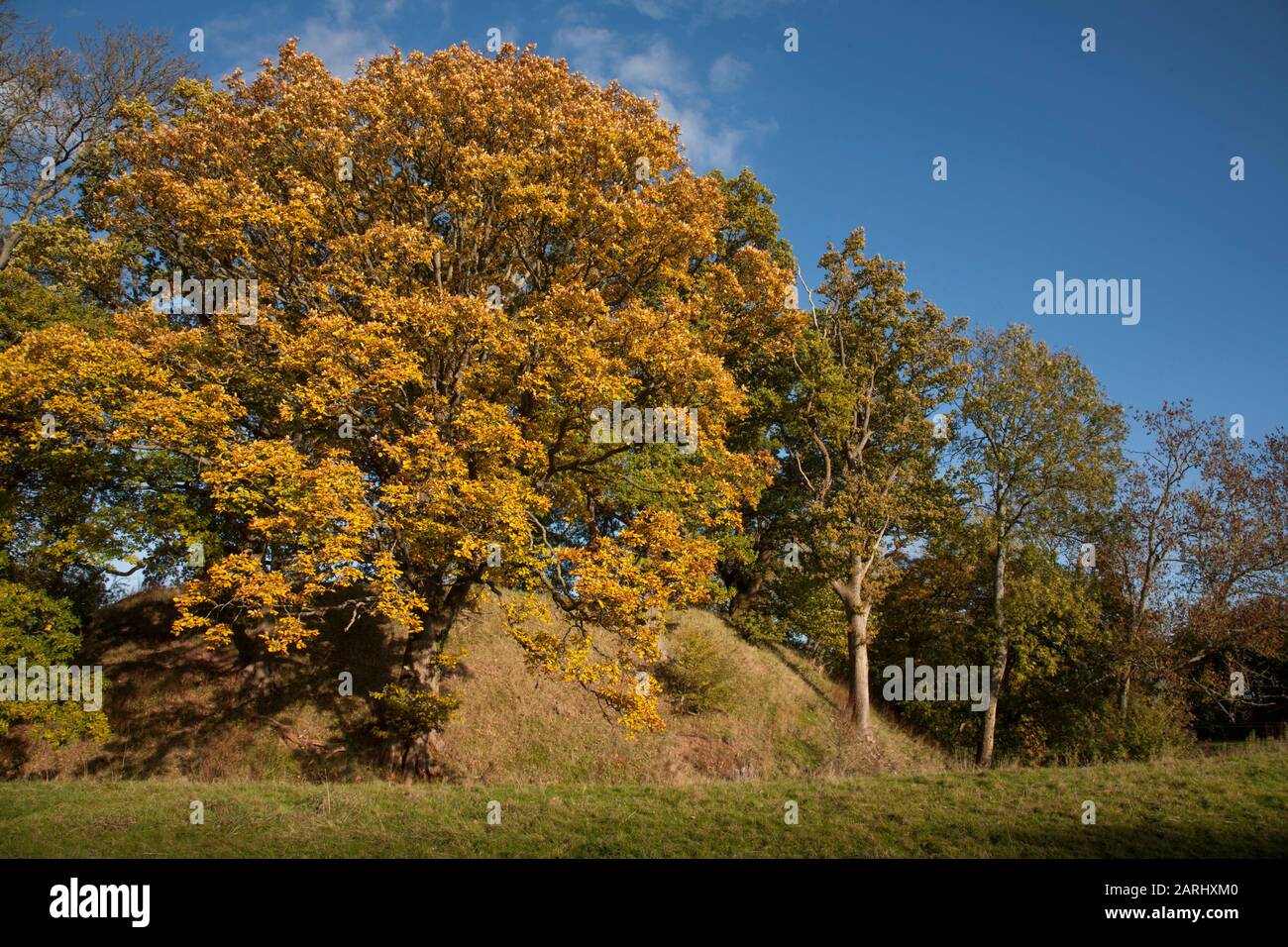 Dorstone hi-res stock photography and images - Alamy