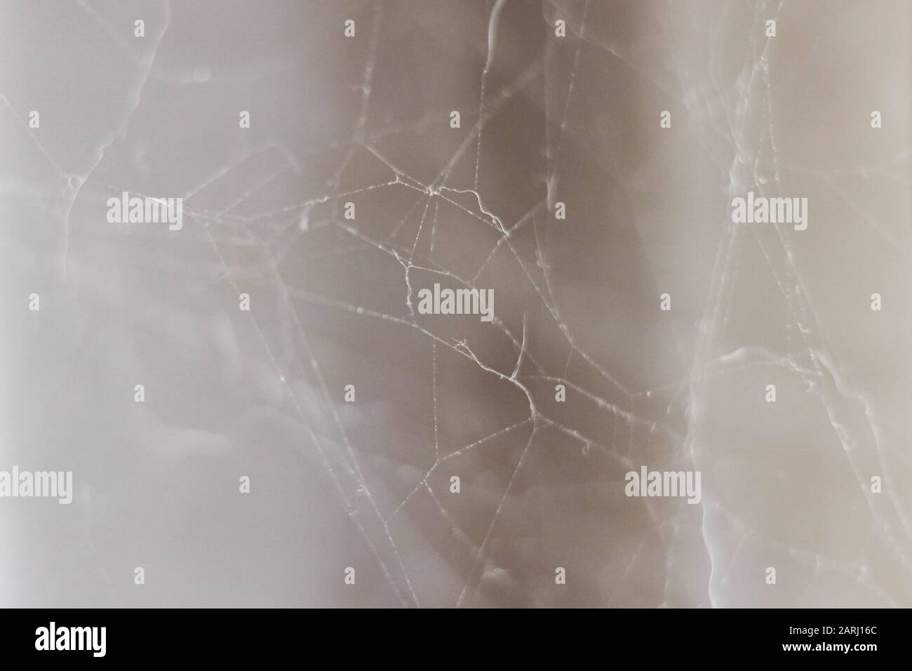 White cobweb on a gray background close up, background ar texture Stock ...